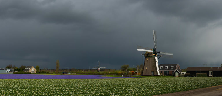 Doei, Dutch winter? Weather forecast for February | DutchReview