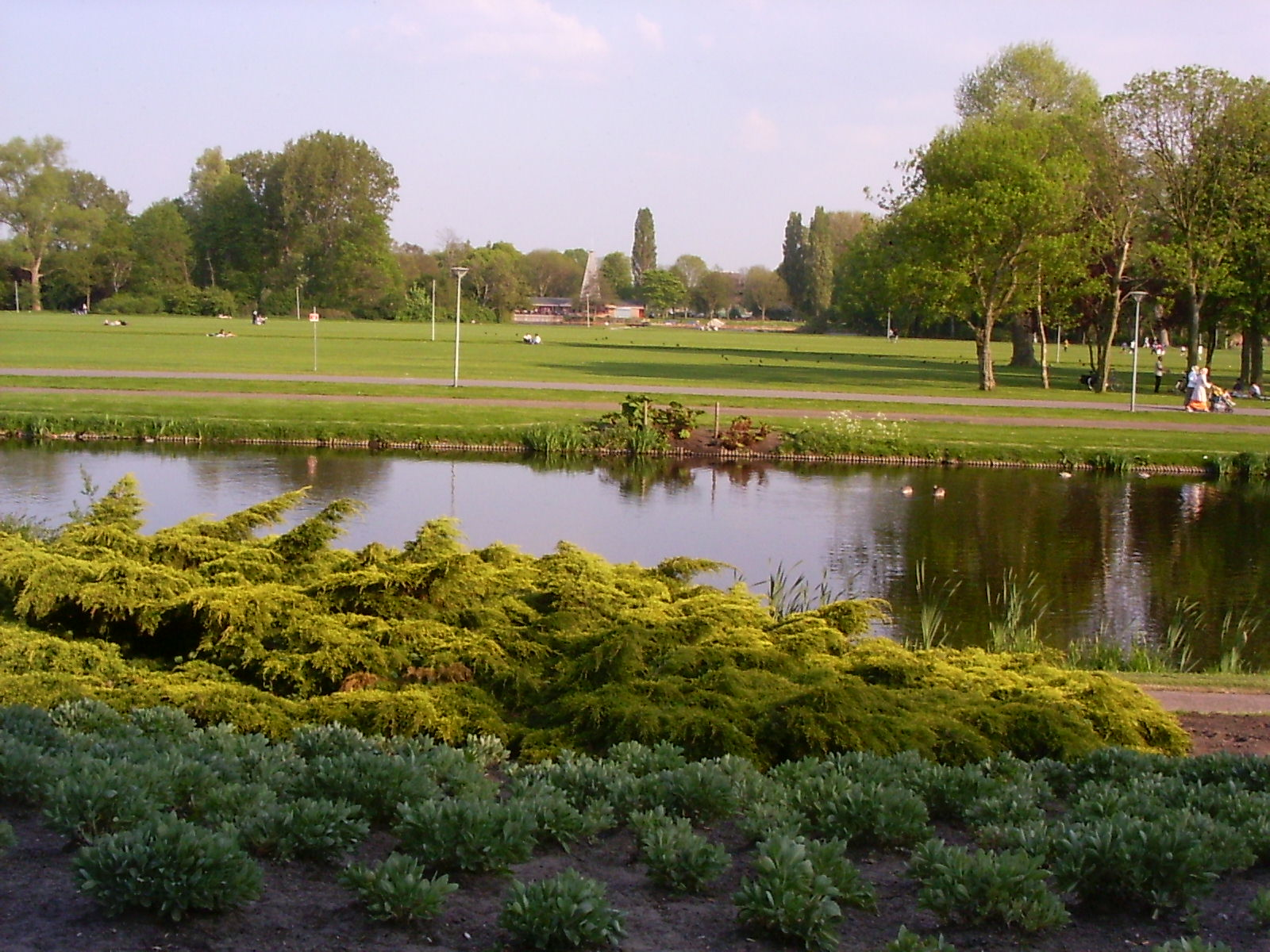 Hiking in The Hague: 11 nature spots for the outdoor adventurer