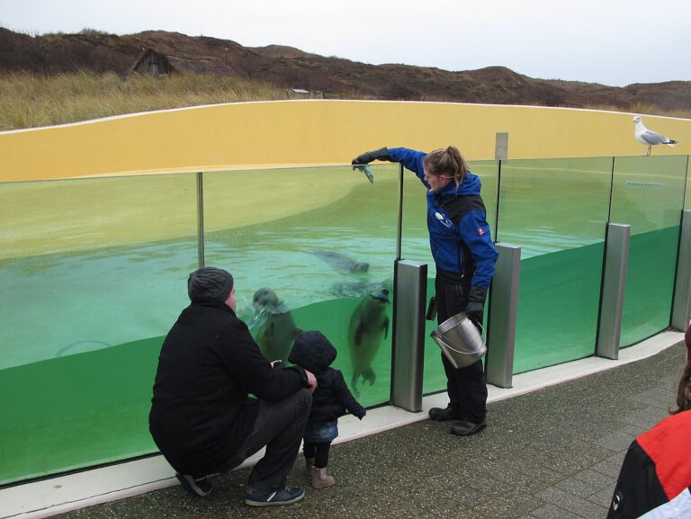 A guide to 13 great zoos and animal parks in the Netherlands