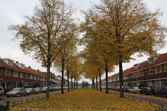 The best neighbourhoods in Utrecht: The 2026 guide