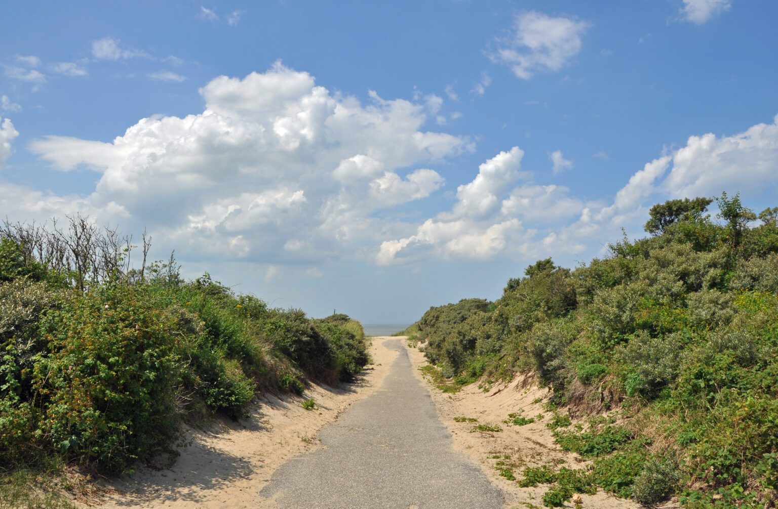 Best beaches in the Netherlands: the ultimate guide to Dutch beaches