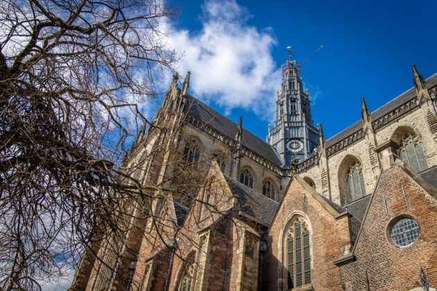 18 charming things to do in Haarlem | DutchReview