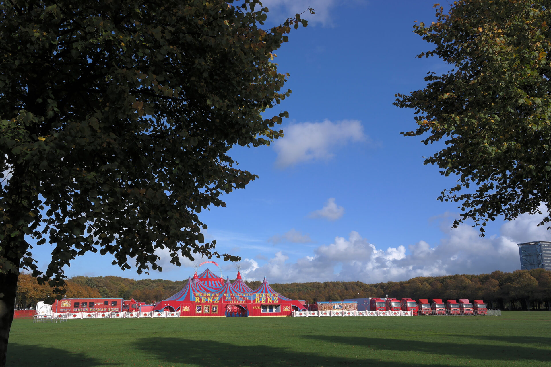 Hiking in The Hague: 11 nature spots for the outdoor adventurer