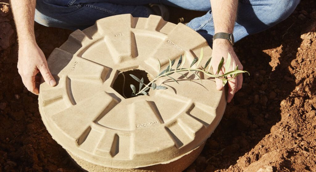 This innovative Dutch 'Tree Cocoon' could help reforest the planet ...