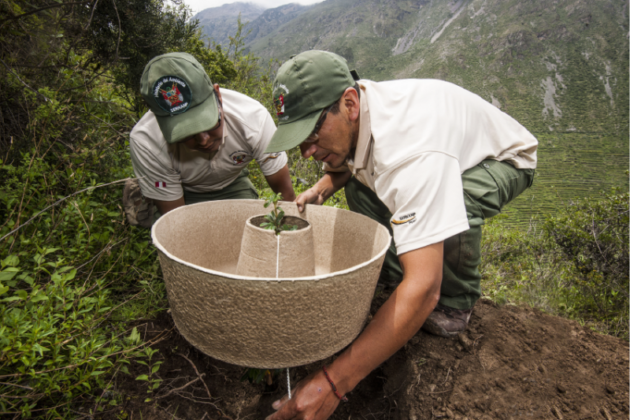 This innovative Dutch 'Tree Cocoon' could help reforest the planet ...