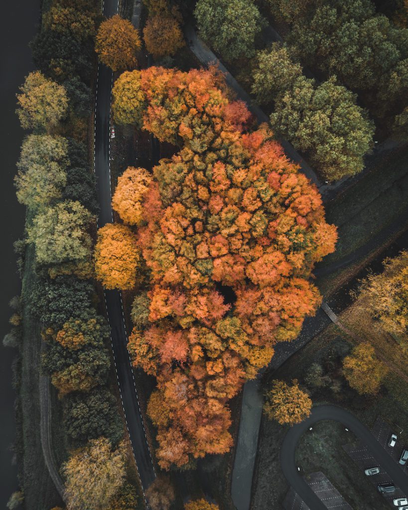 DutchReview photo report: Rotterdam is rocking it, yet again! | DutchReview