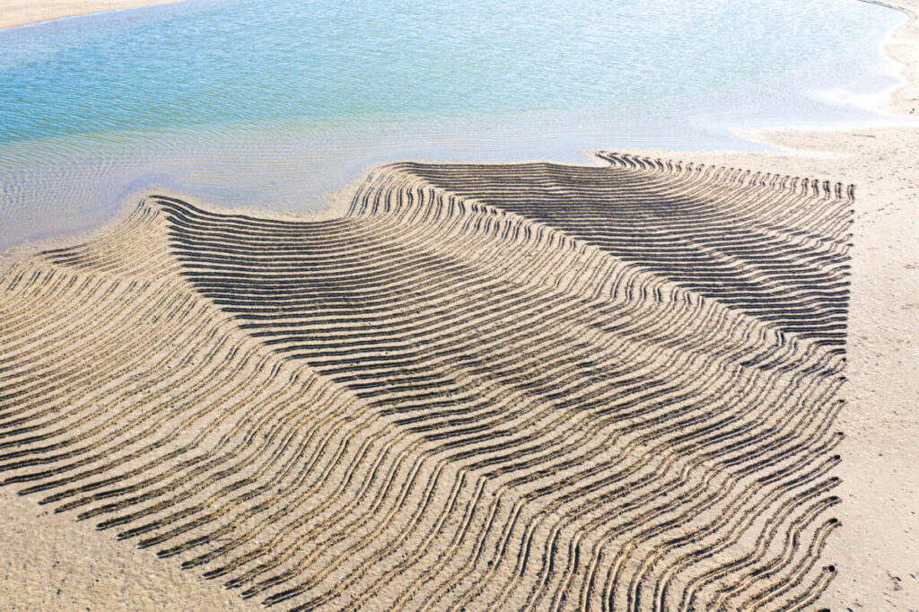 This Dutch artist creates more than just sandcastles on the beach ...