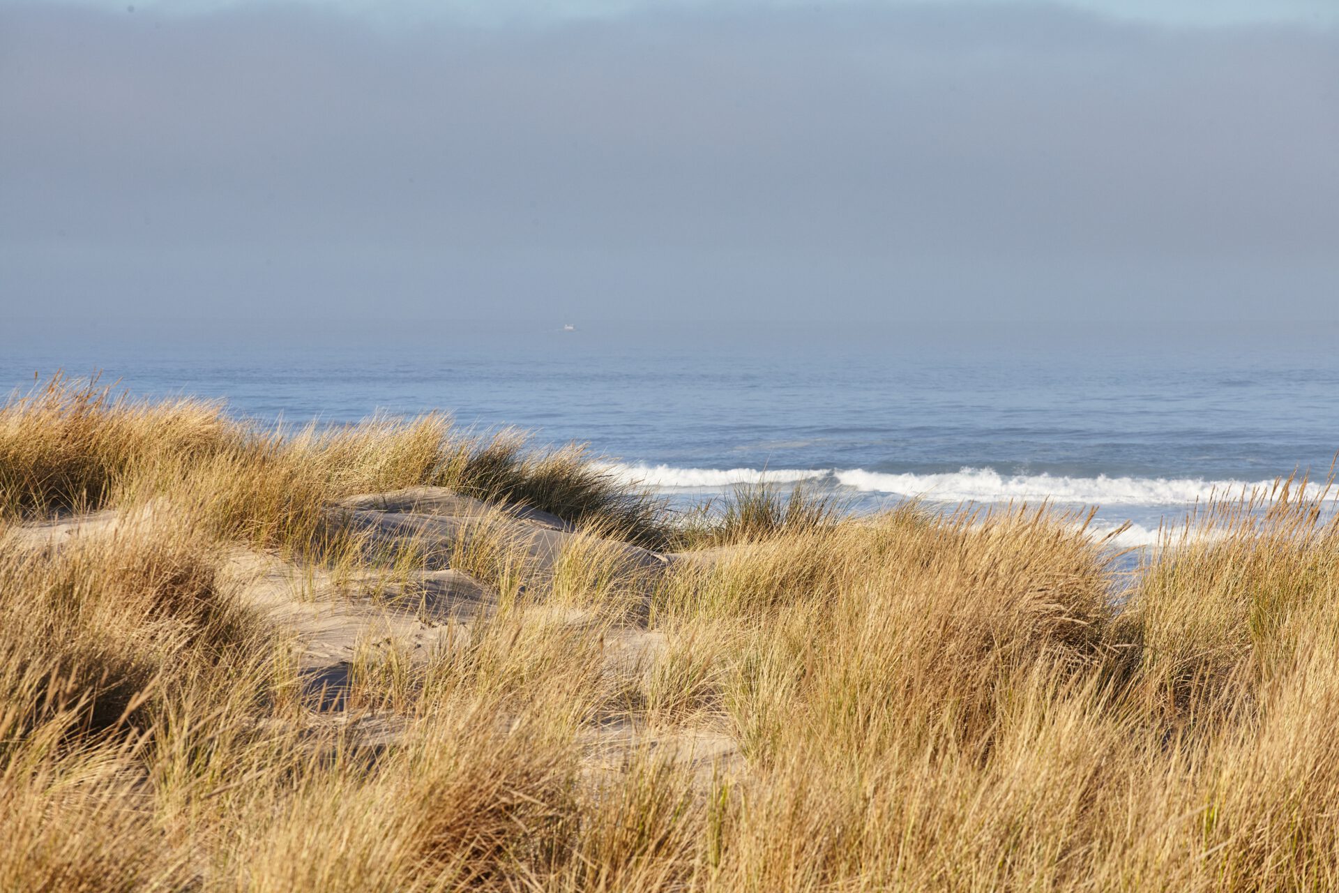 18 unmissable things to do in Scheveningen: A local's guide