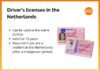 How to get a driver’s licence in the Netherlands: 2025 guide