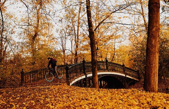 Autumn Photo Report: Why we're gonna miss fall in the Netherlands ...