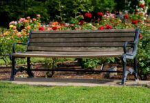 18 unmissable things to do in Scheveningen: A local's guide