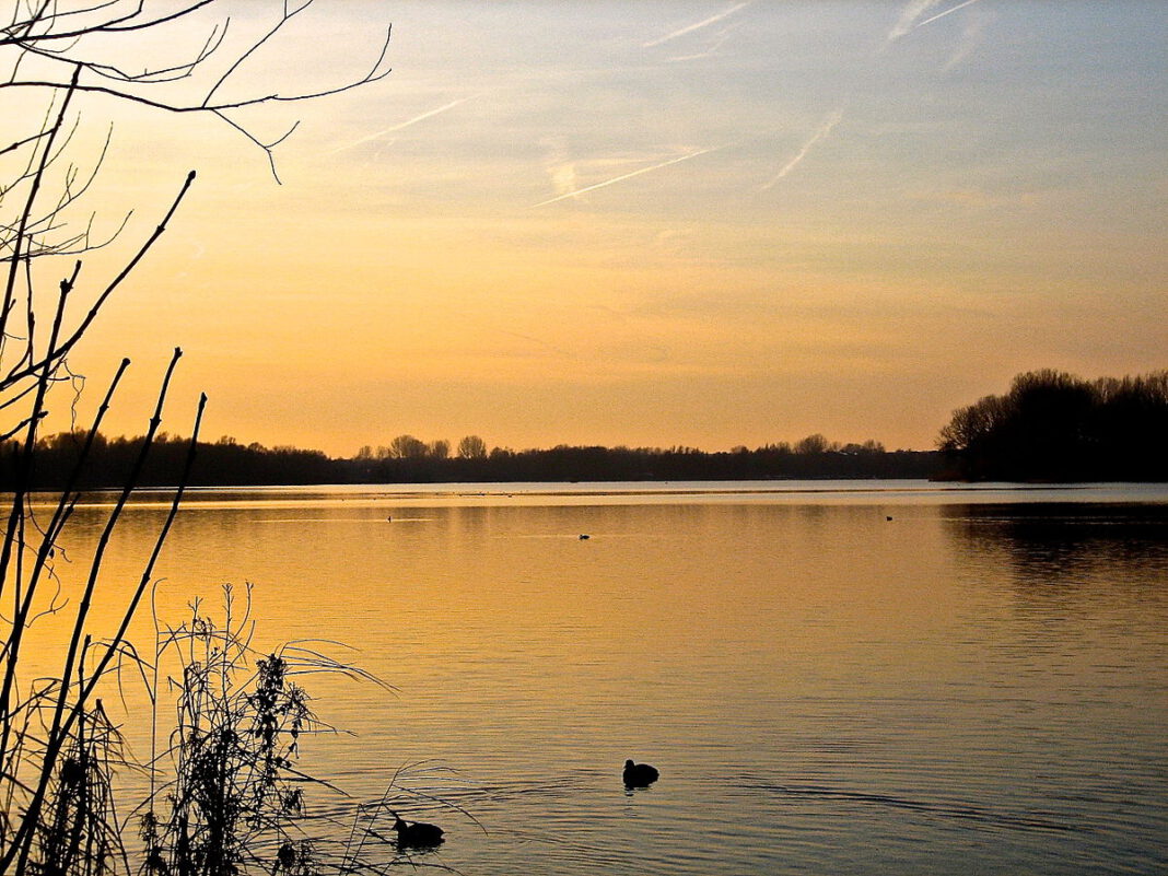 The best lakes in the Netherlands (Amsterdam and more)