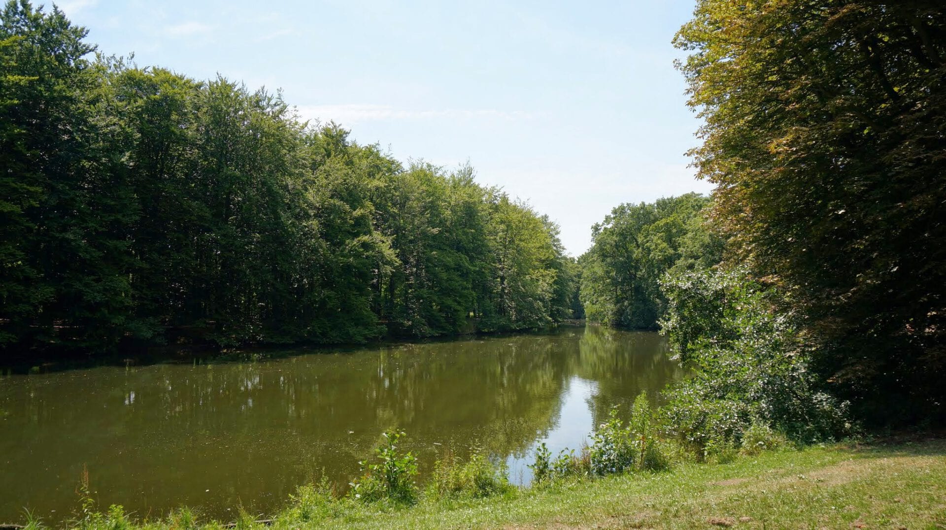 Hiking in The Hague: 11 nature spots for the outdoor adventurer