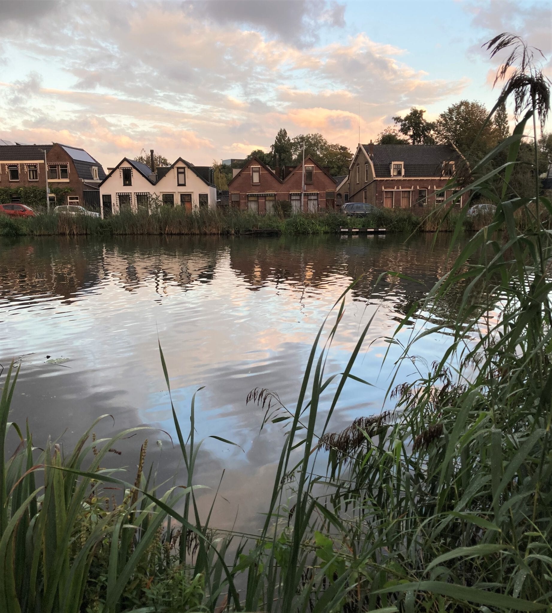 Where to live in Rotterdam: the ultimate guide to Rotterdam’s ...