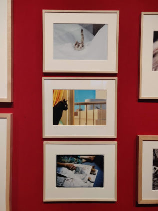 Van hier tot Tokio: a history of Dutch-Japanese relations – DutchReview