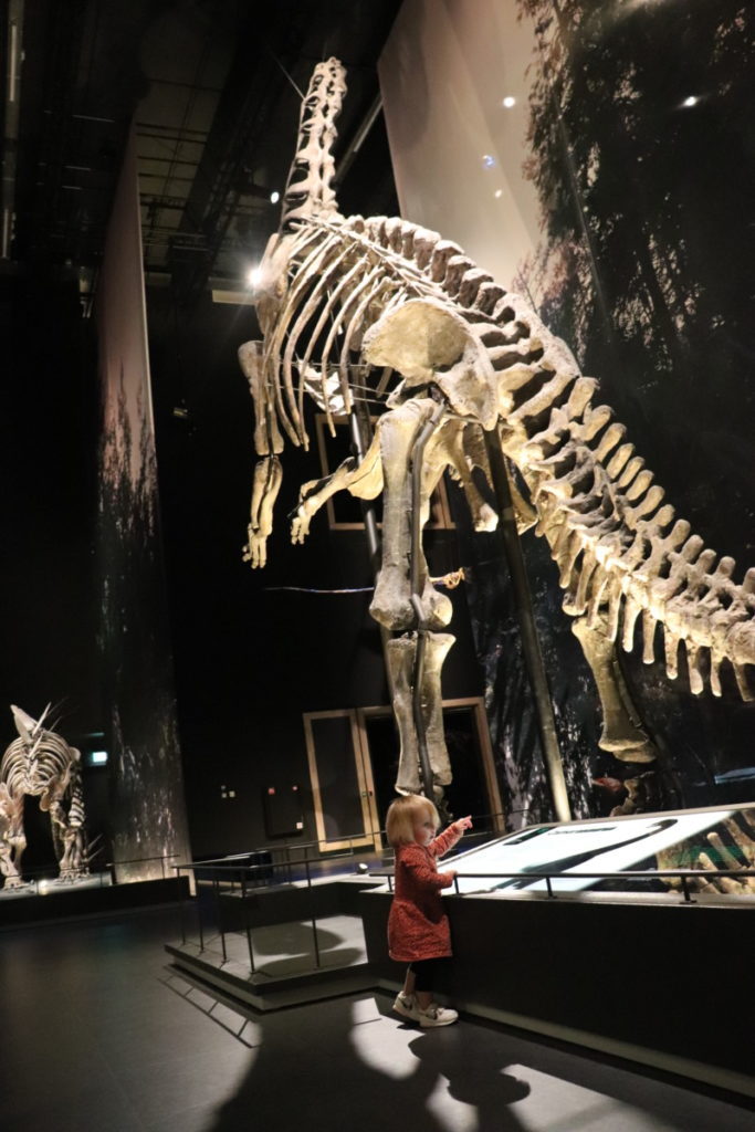 Naturalis: Leiden's biodiversity centre and museum of life | DutchReview