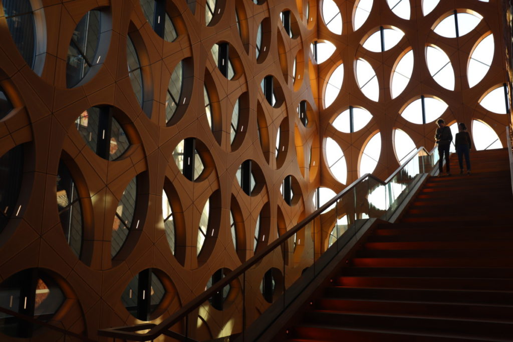 Naturalis: Leiden's biodiversity centre and museum of life | DutchReview