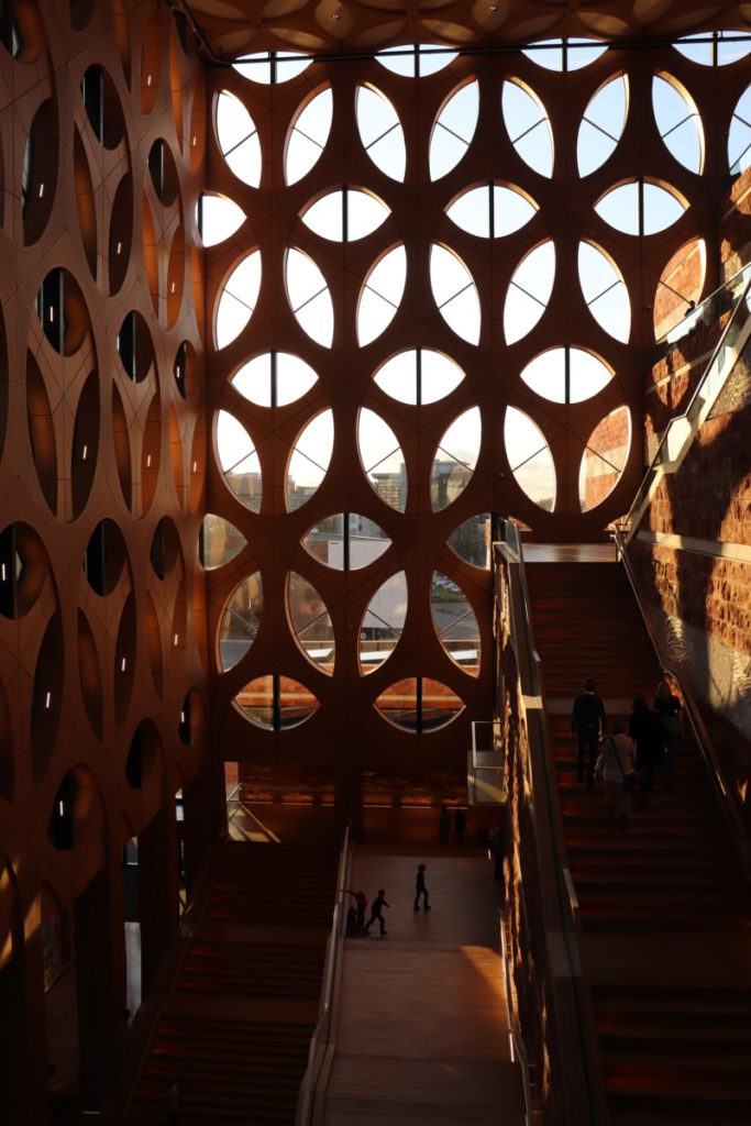 Naturalis: Leiden's biodiversity centre and museum of life | DutchReview