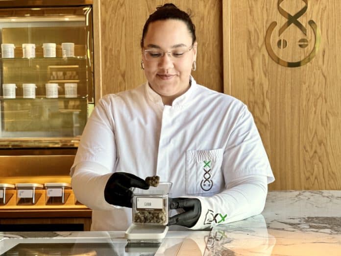 Best weed in Amsterdam: Coffeeshops and cannabis guide 2025