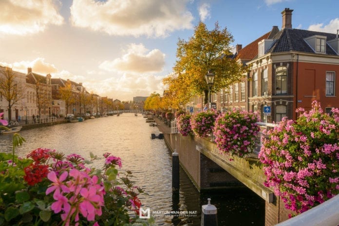 Photo report! An ode to the lovely city of Leiden | DutchReview
