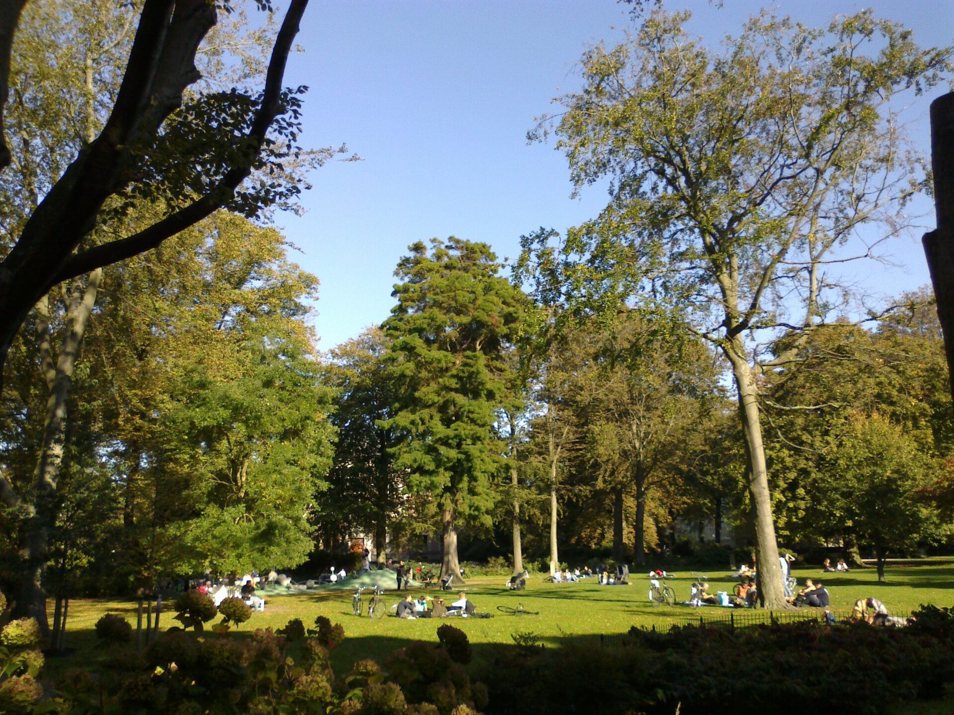 29 awesome things to do in The Hague in 2025