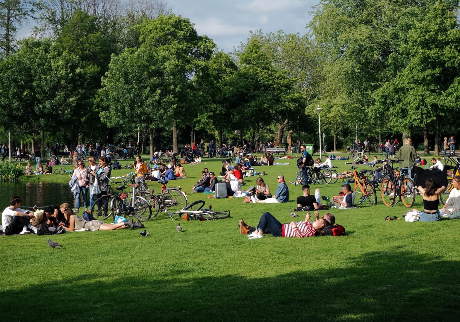 Temperatures forecast to reach 29 degrees in the Netherlands