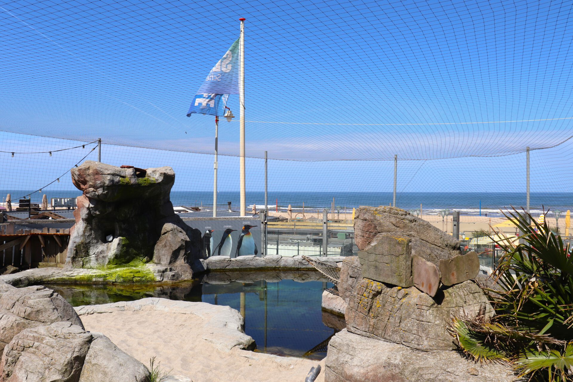 There’s plenty of fish in the sea! Learn all about them at SEA LIFE in ...