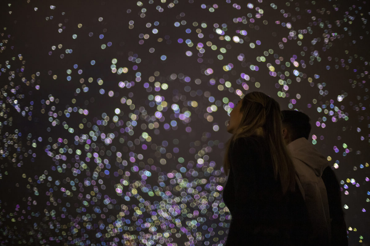 Dutch artist creates biodegradable fireworks to spark social change ...