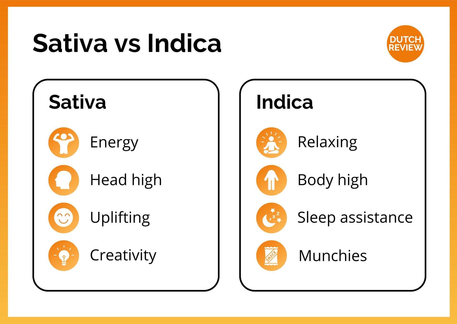 The best edibles in Amsterdam: The ultimate guide for 2025