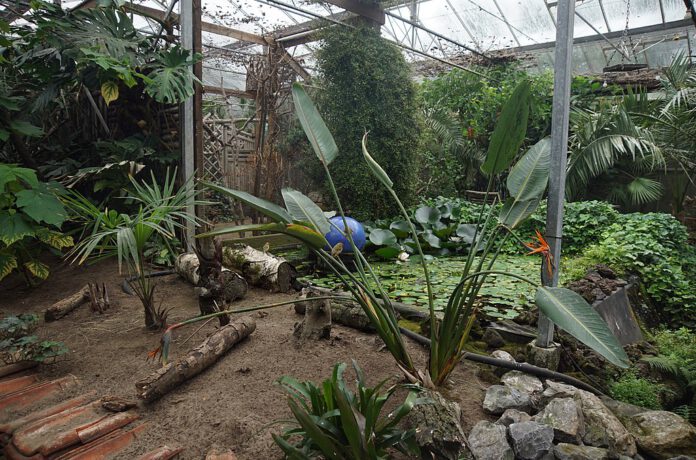 17 adventurous things to do in Texel in 2025