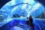 18 unmissable things to do in Scheveningen: A local's guide