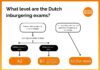 What language level is the Dutch integration (inburgering) exam in 2025?
