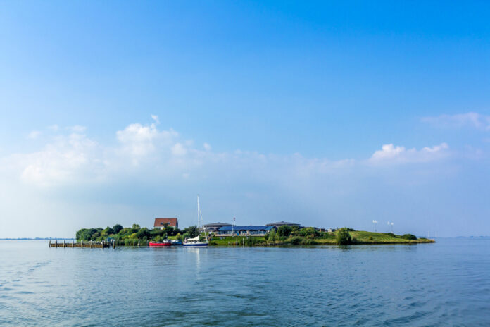 Wild swimming in the Netherlands: the best spots for a dip