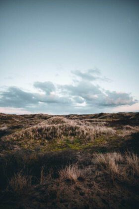 Best beaches in the Netherlands: the ultimate guide to Dutch beaches ...