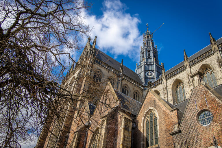 19 charming things to do in Haarlem