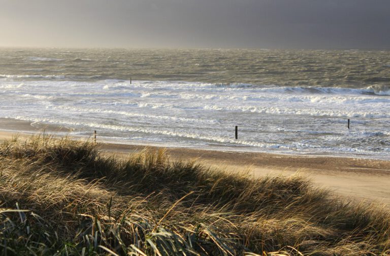 Surfing in the Netherlands: where to go and what to know [2021 ...
