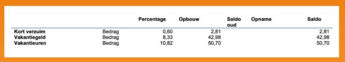 How to read (and understand!) your Dutch payslip | DutchReview