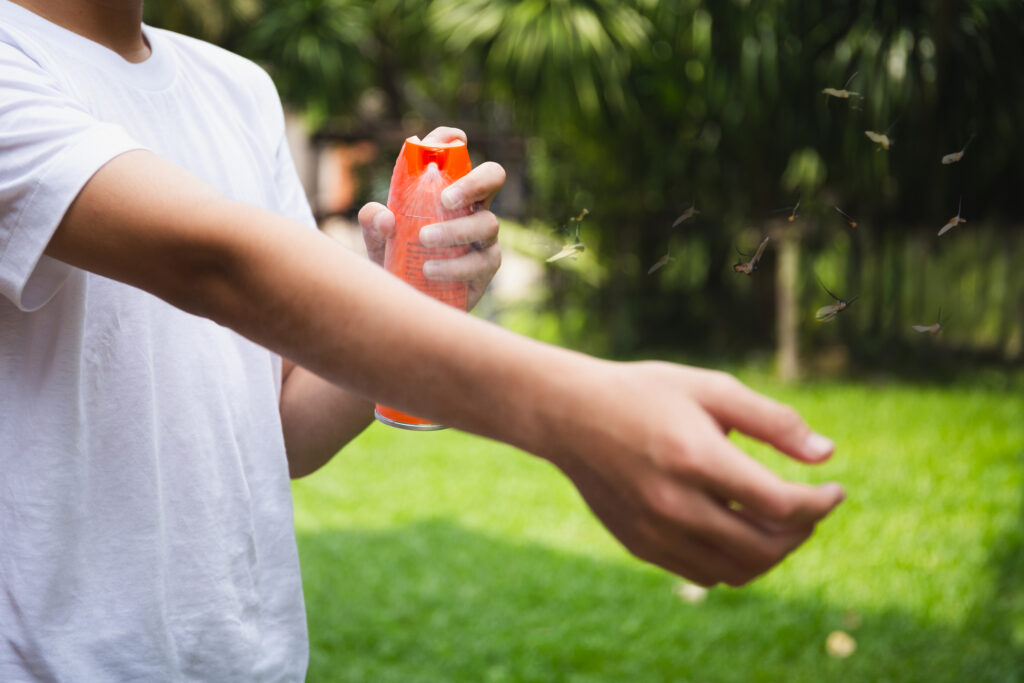 The Dutch weather this summer will be perfect… for mosquitos