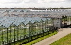 Farming for the future: why the Netherlands is one of the largest food ...