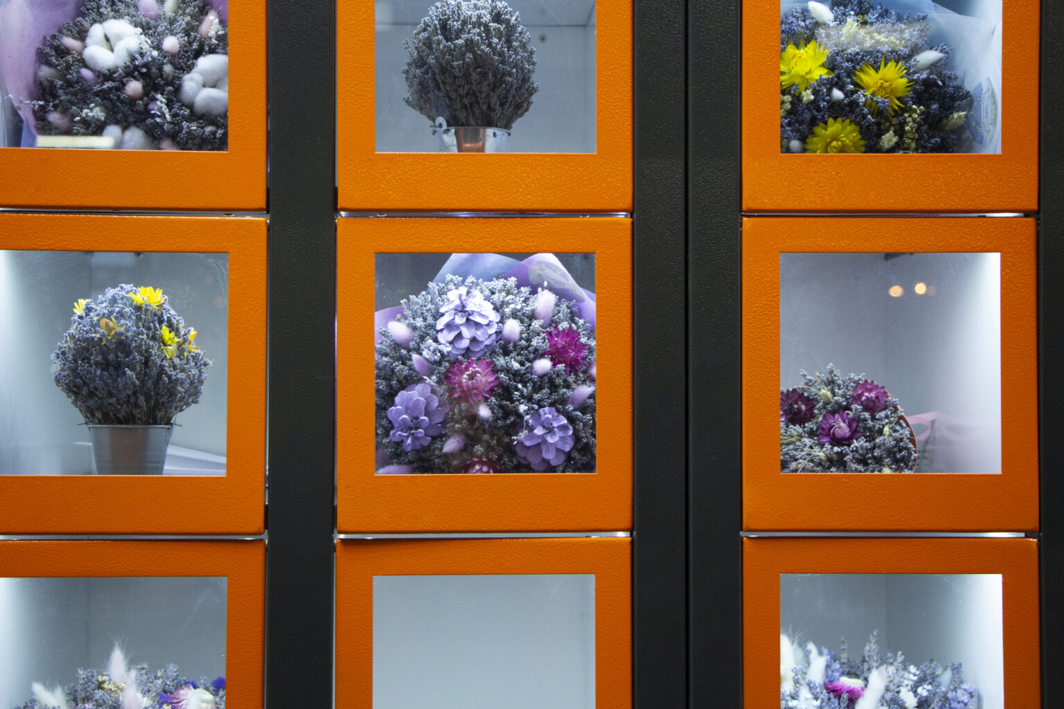 You won't believe what Dutch vending machines are selling now