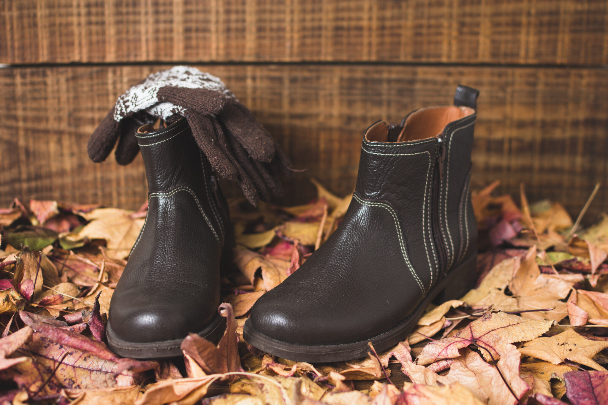 How to survive the Dutch winter: weather, clothing, and more