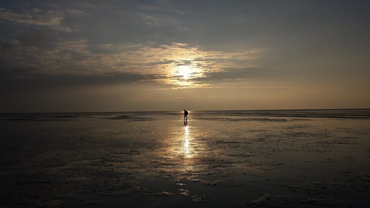 Wadlopen in 2026: your guide to mudflat walking in the Netherlands