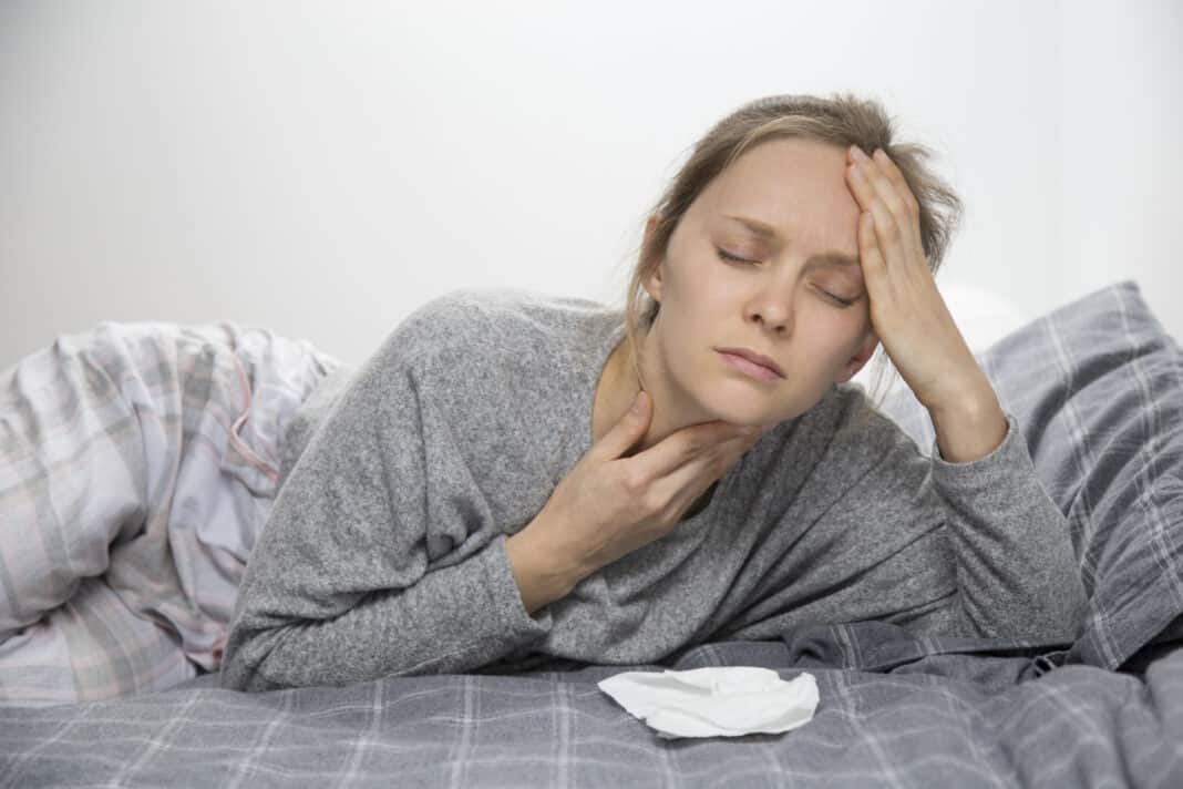 Hantavirus In The Netherlands Symptoms Risk And Safety Tips