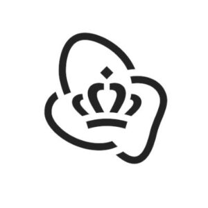 Mobile phones and SIM cards in the Netherlands: ultimate 2025 guide