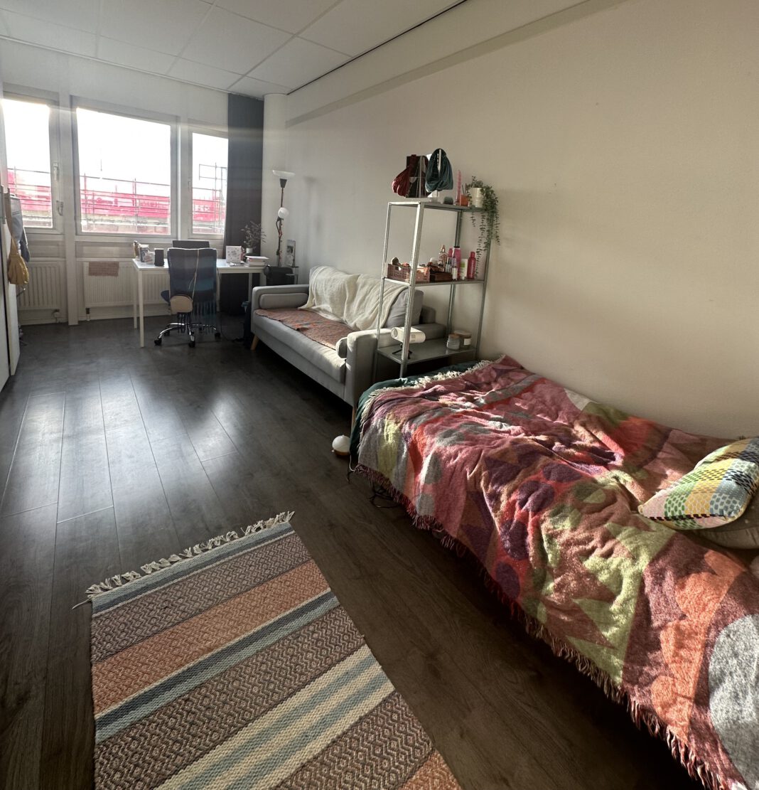 Living with 30 internationals in the Netherlands: here's what it's like