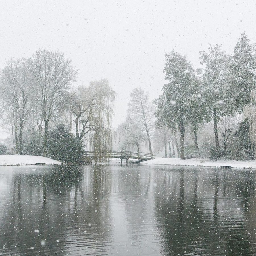 There's Snow falling on Friday! | DutchReview