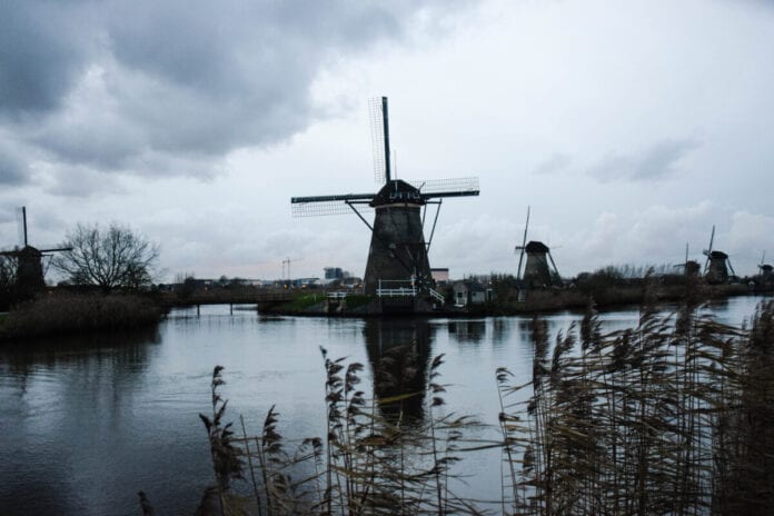 Hikes and walks in Rotterdam: 12 places for the perfect nature escape ...