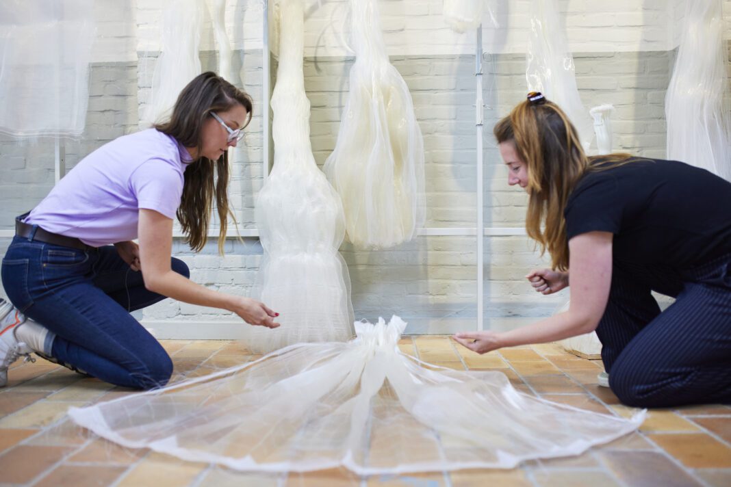 Is it alive? Don't miss this unique art exhibition in Tilburg | DutchReview