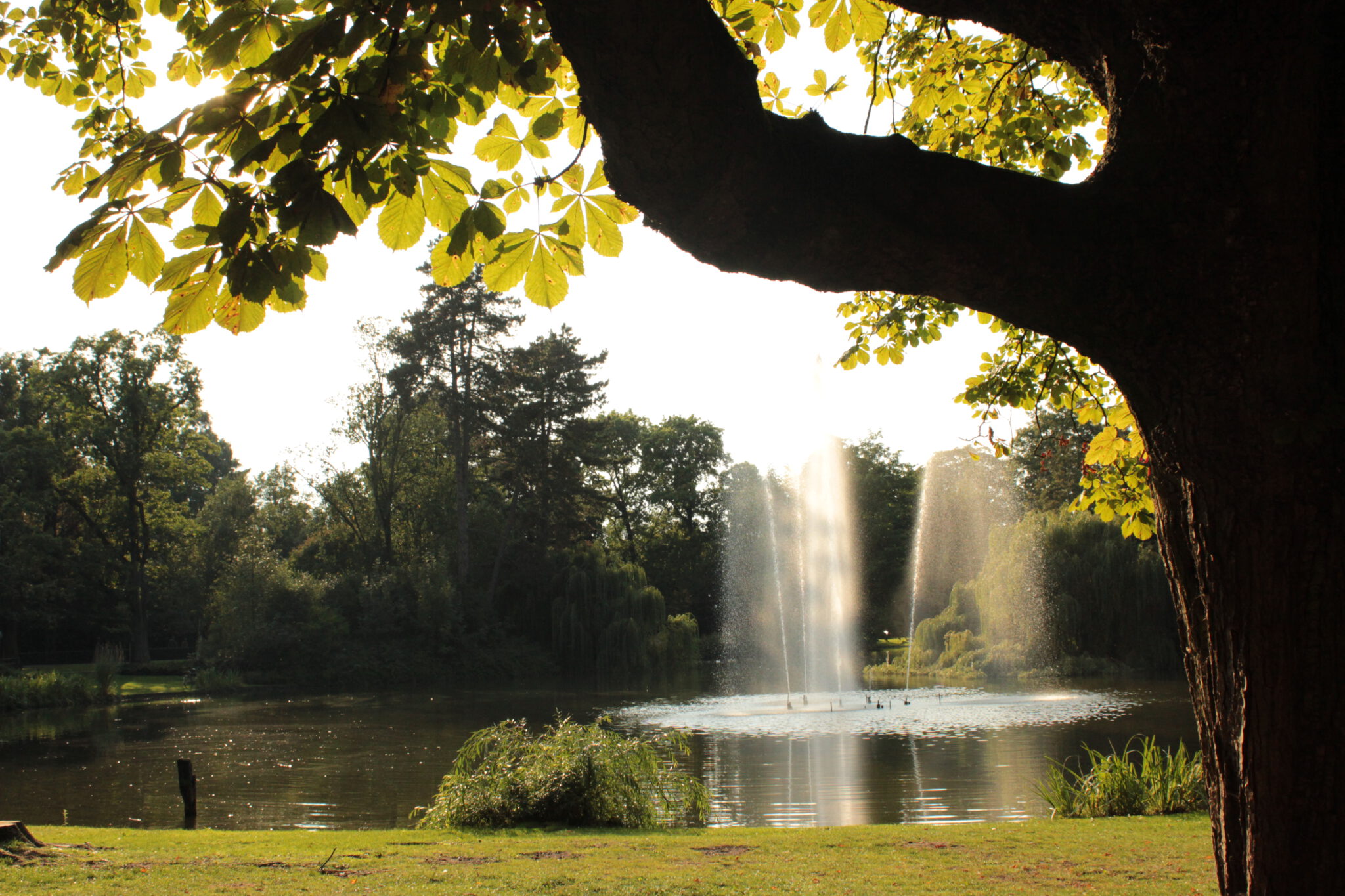 19 best things to do in Utrecht in 2025